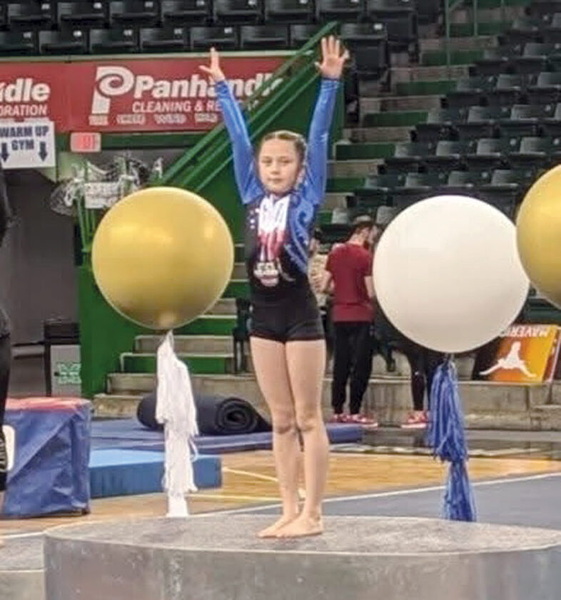 Tumble Time Gymnastics competes at WV State Gymnastics Meet | News ...